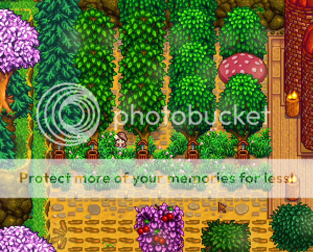 Community - Show off your farm! | Page 12 | Chucklefish Forums